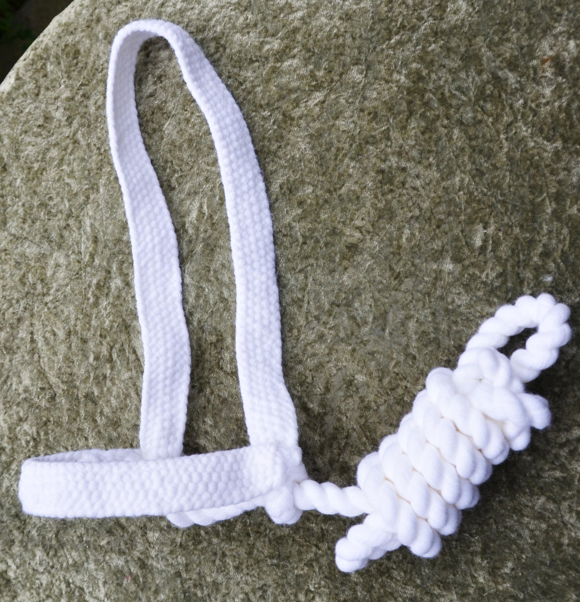 Foal & Yearling Plaited Show Halter Bright White Long lead. – Welsh Cob ...
