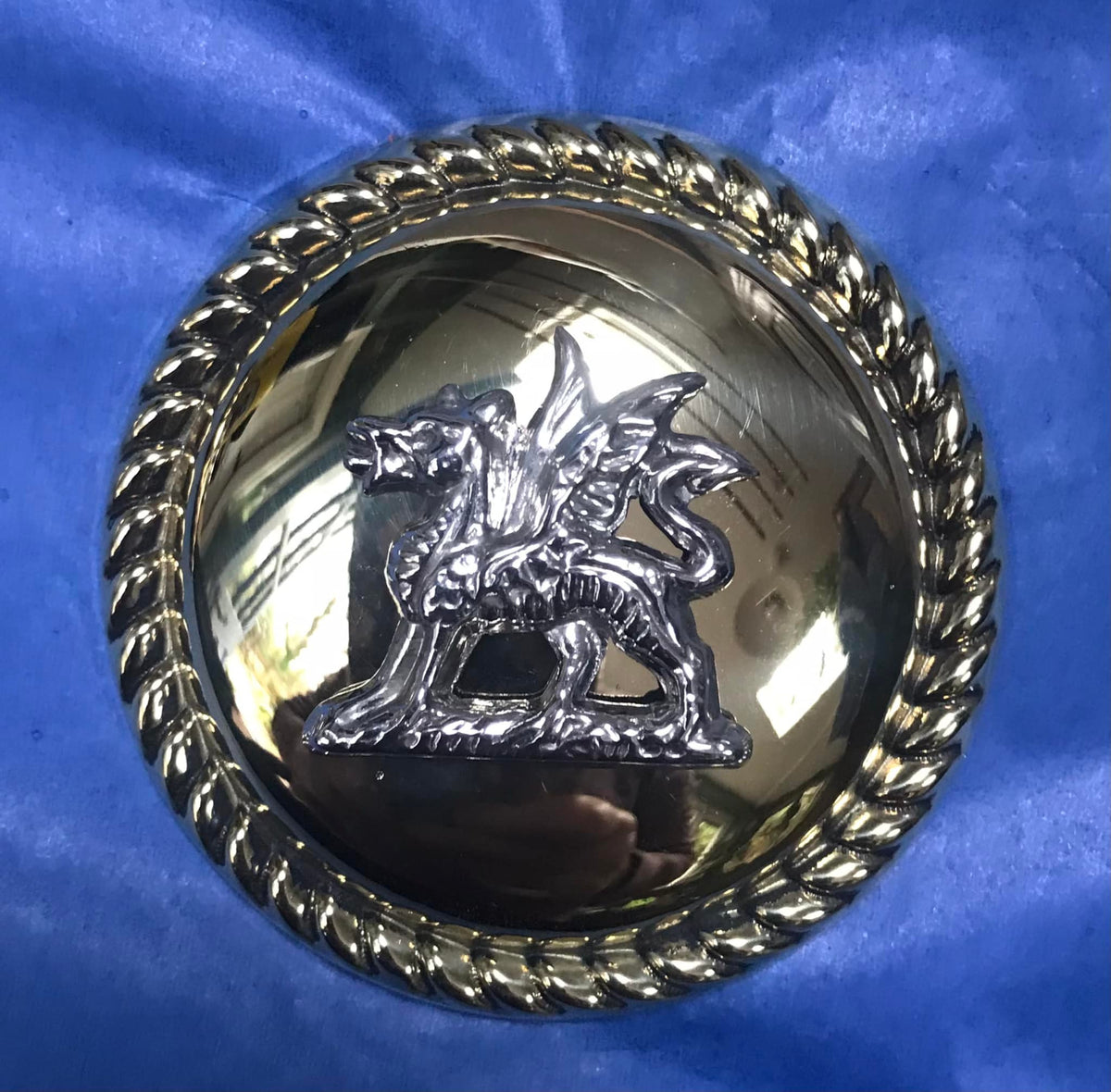 PAIR OF LARGE BRASS ROSETTES SILVER OR BRASS DRAGON (Rope border ...