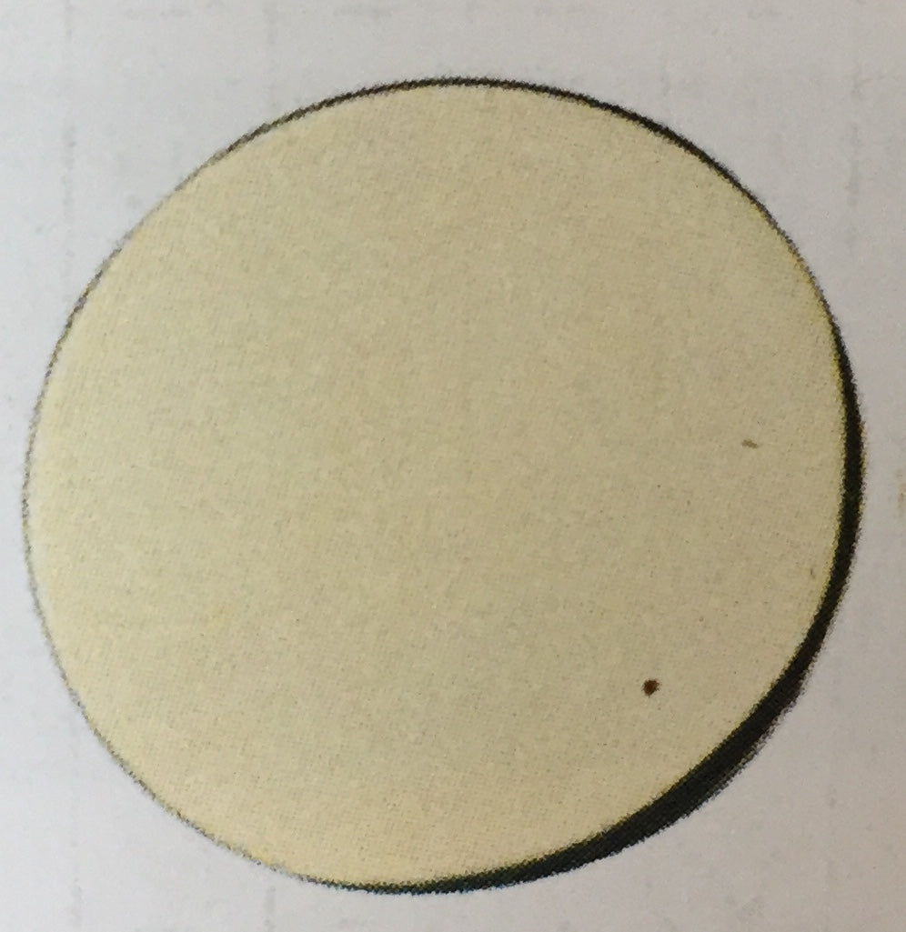 Plain Brass flat Bridle Rosettes (Pair) 1 1/4" Diameter – Welsh Cob Shop