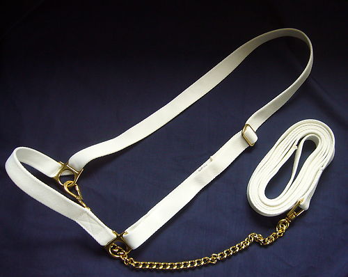 1" Adjustable Show Halter Chain Lead – Welsh Cob Shop