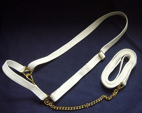 Halters – Welsh Cob Shop