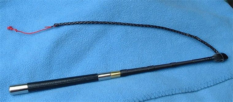 County In Hand Cob Whip – Welsh Cob Shop